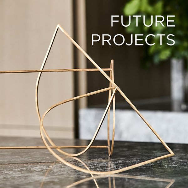 Future Projects | DealCorp